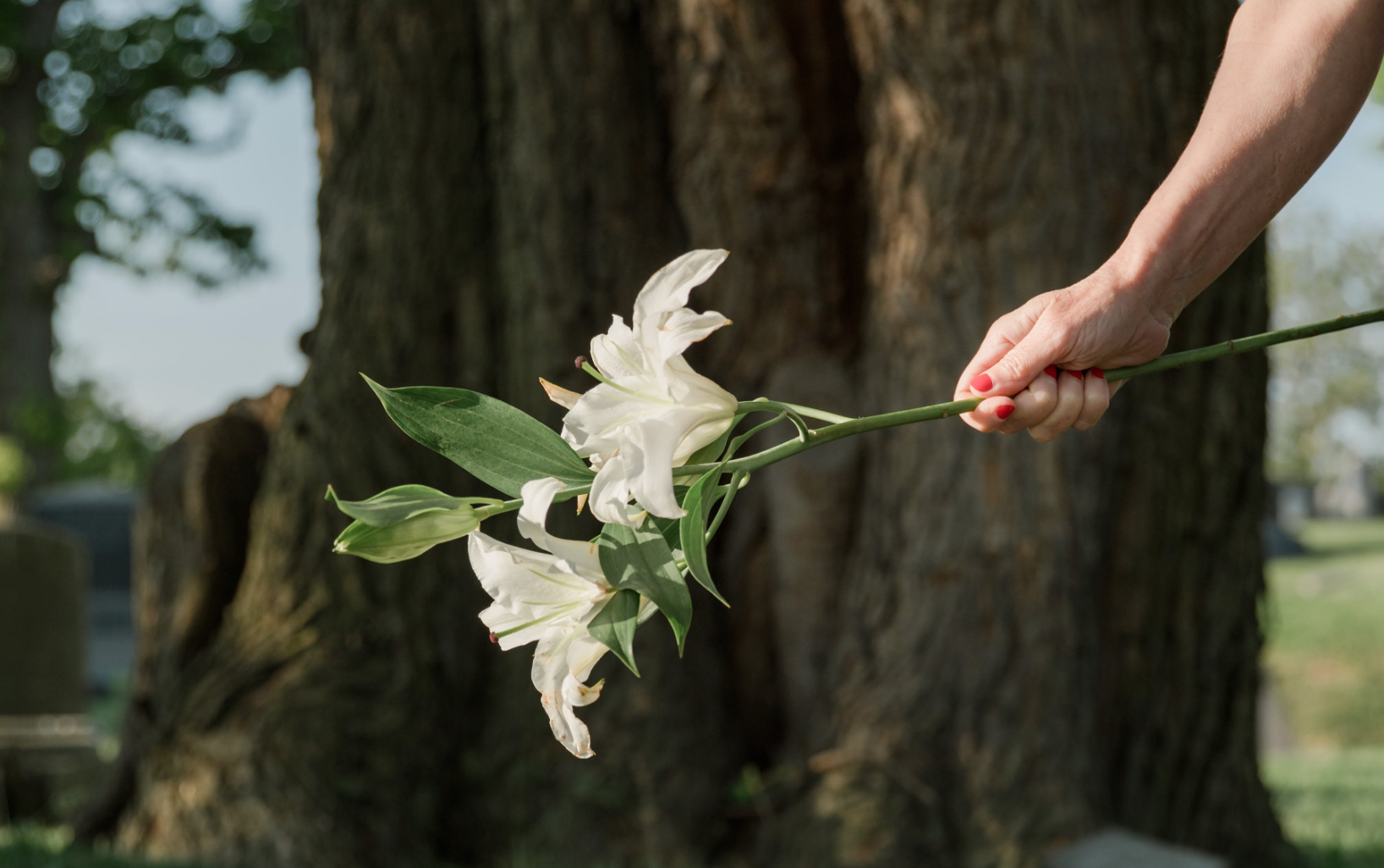 Navigating Grief: A Guide to Coping with Loss – Regal Caskets